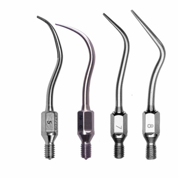 Insert Proclinic Kavo Prophylaxie – Equipements dentaires, qualité XL ...